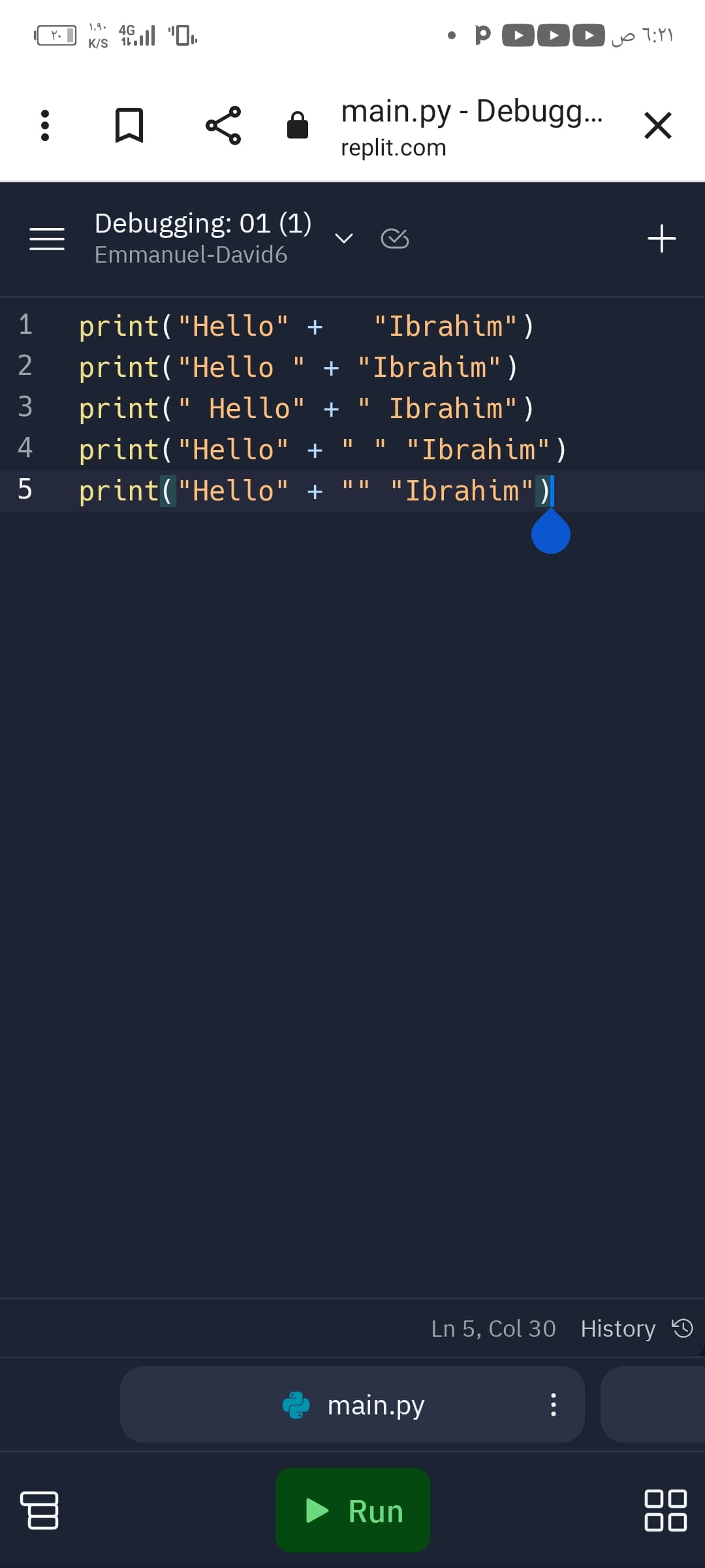 Project 01 Octucode Replit 